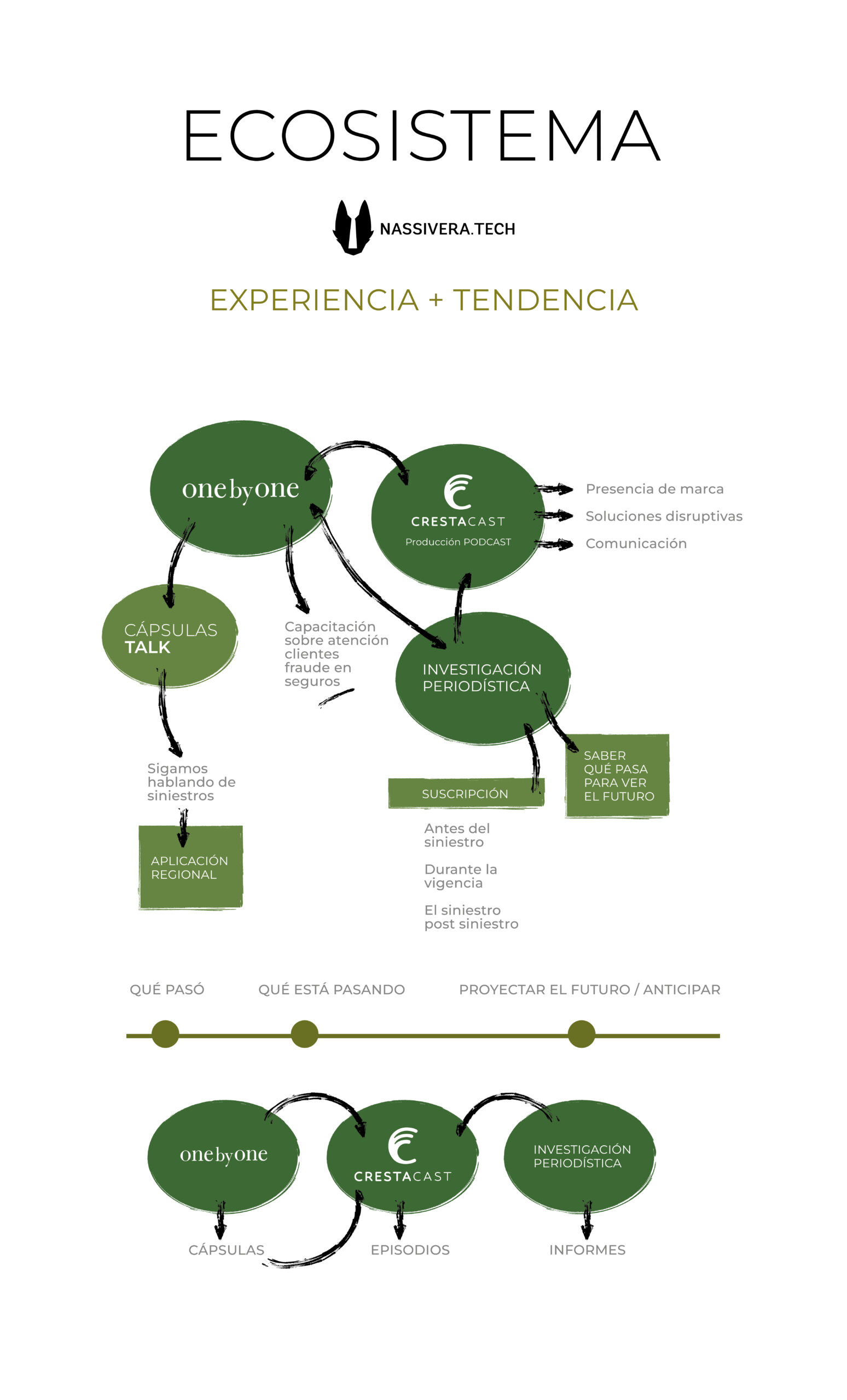 Ecosistema – Nassivera Tech